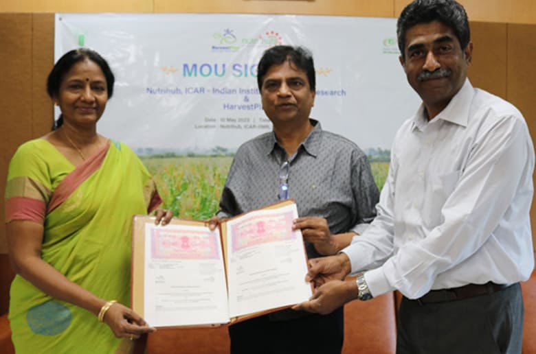 HarvestPlus and Nutrihub IIMR-ICAR Partner to Advance Biofortified ...